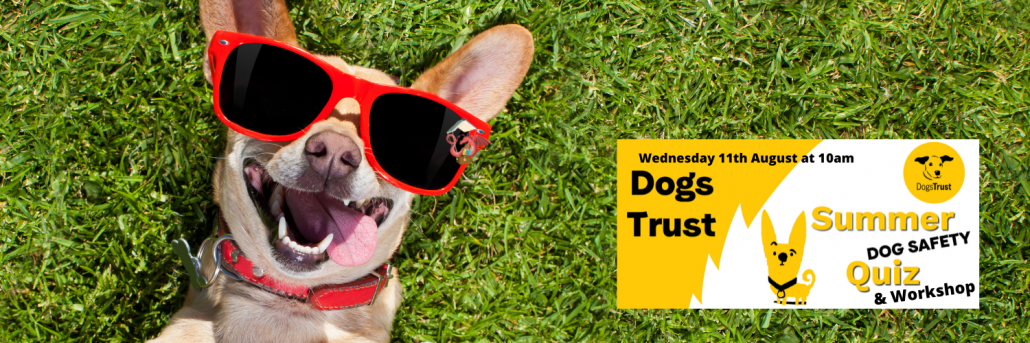 Sligo Library – Sligo County Library Website